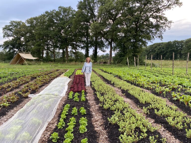 de boerderij - 't Gagel